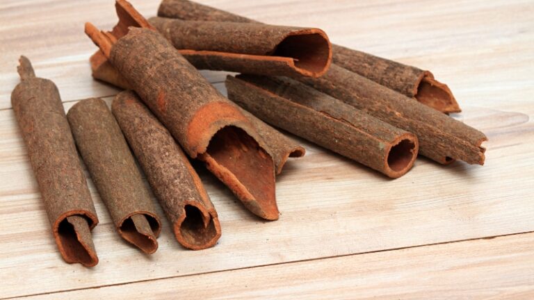 HOW TO USE CINNAMON STICKS – A VERSATILE SPICE FOR EVERYDAY LIFE – Stn ...
