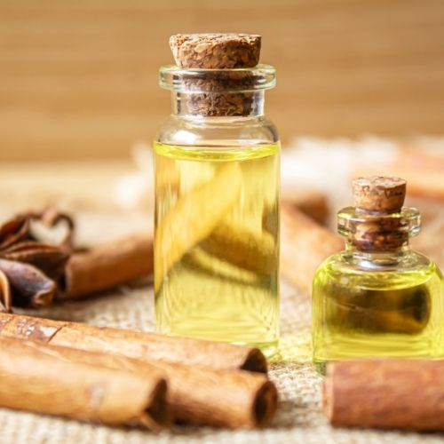The Benefits and Uses of Cinnamon Root Oil – Stn Agri Import- Export